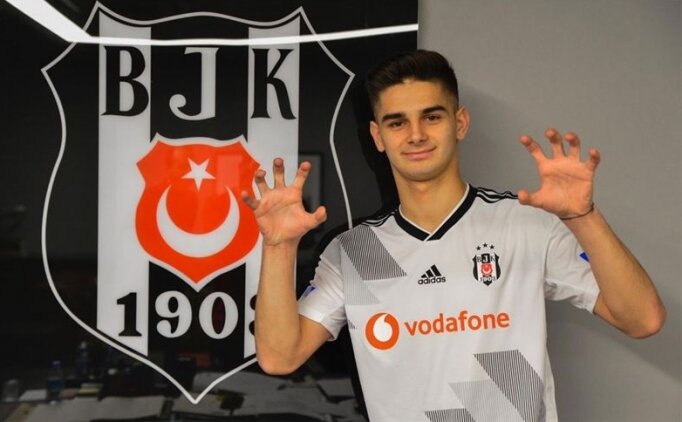 Beşiktaş taraftarı Ajdin Hasic'i istiyor! - Duhuliye Beşiktaş taraftarı Ajdin Hasic'i istiyor! - Duhuliye